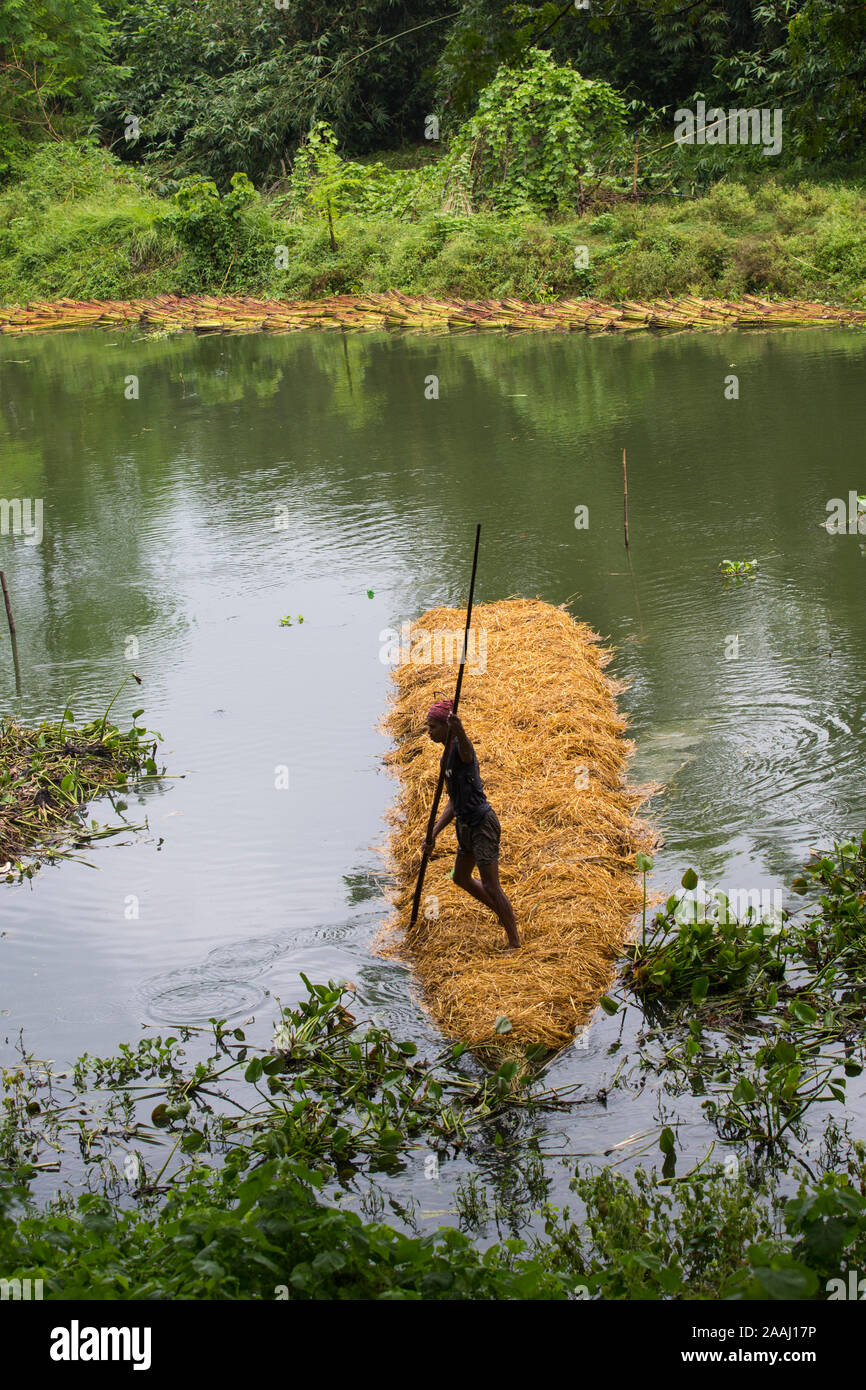 Farmers at Faridpur's Bhanga soaking jute in a water body after ...
