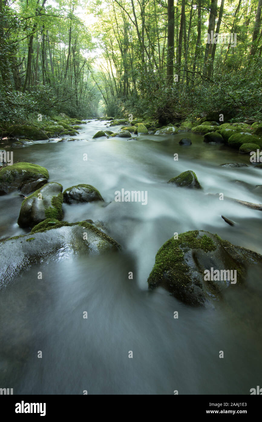 Appalachian mountains stream river hi-res stock photography and images ...
