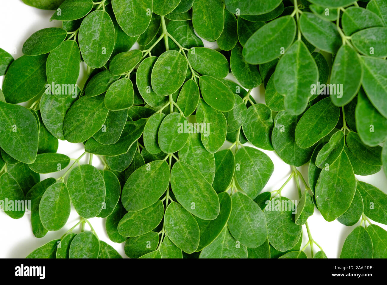 Malunggay hi-res stock photography and images - Alamy