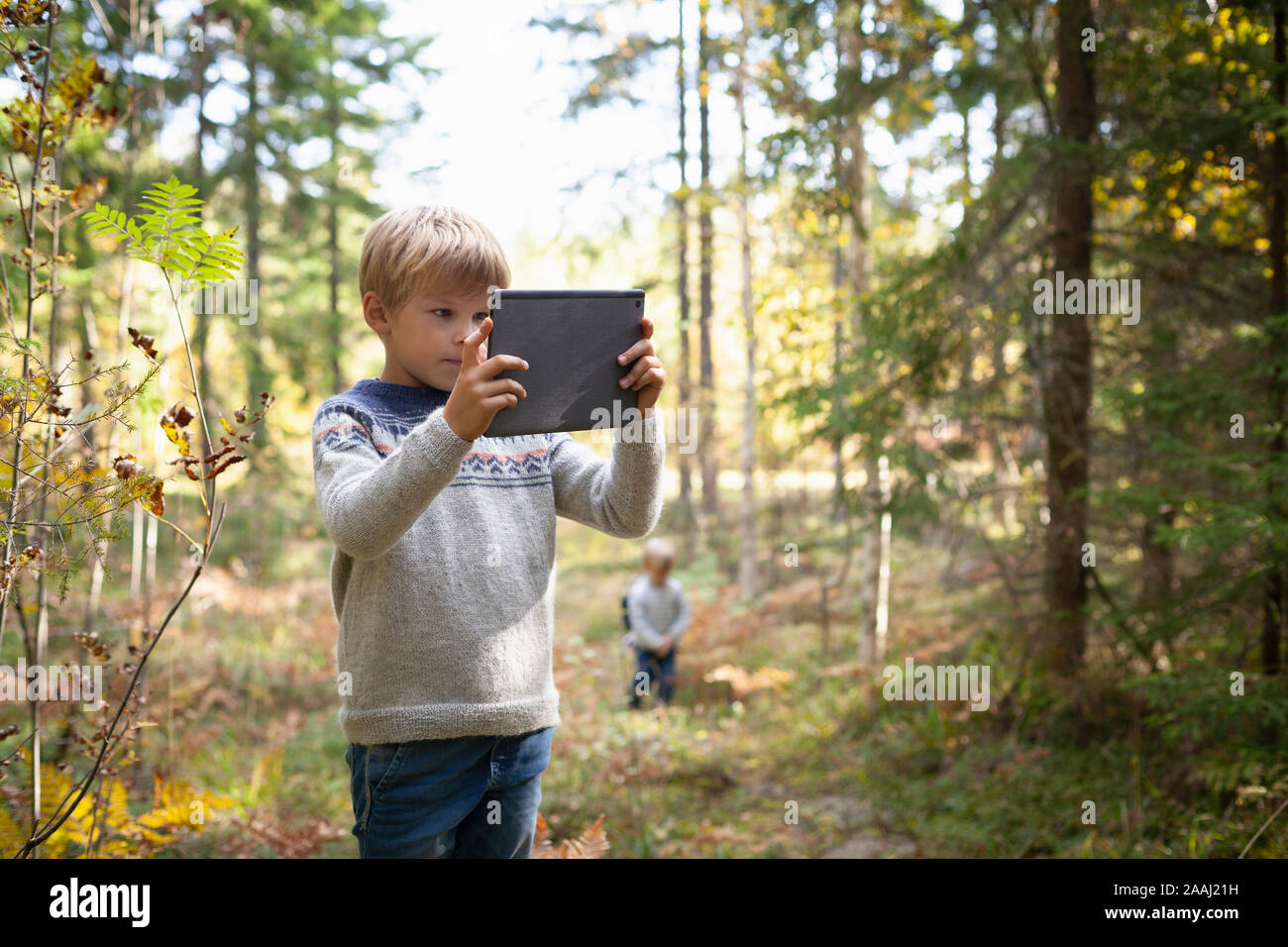 Boy taking photograph of forest, brother following behind Stock Photo ...