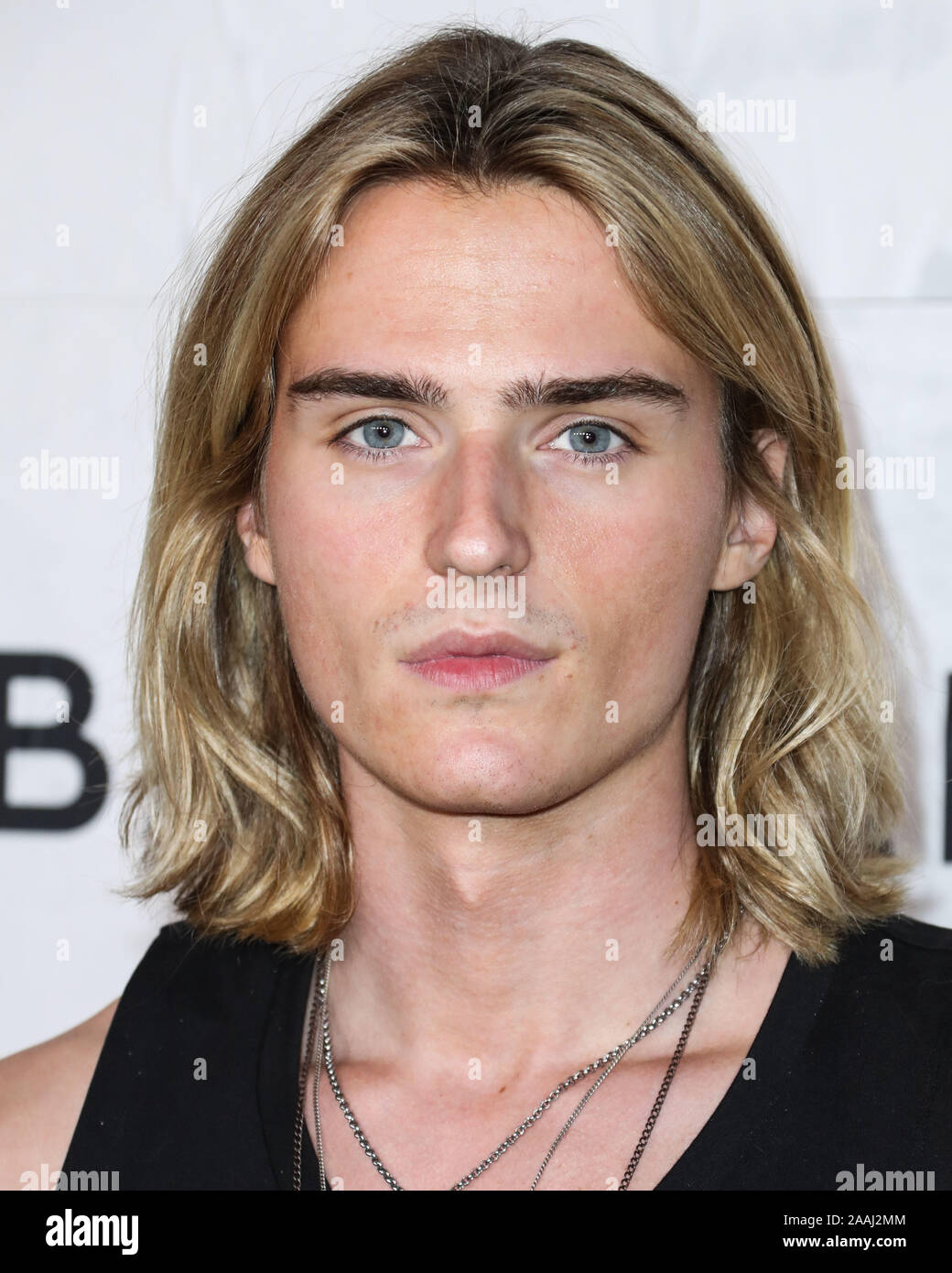 HOLLYWOOD, LOS ANGELES, CALIFORNIA, USA - NOVEMBER 21: Actor Luke ...