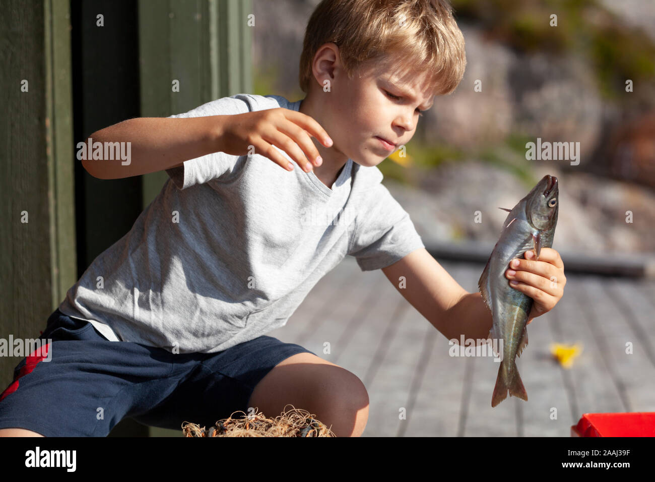 Boy holding up fish on pier Stock Photo - Alamy