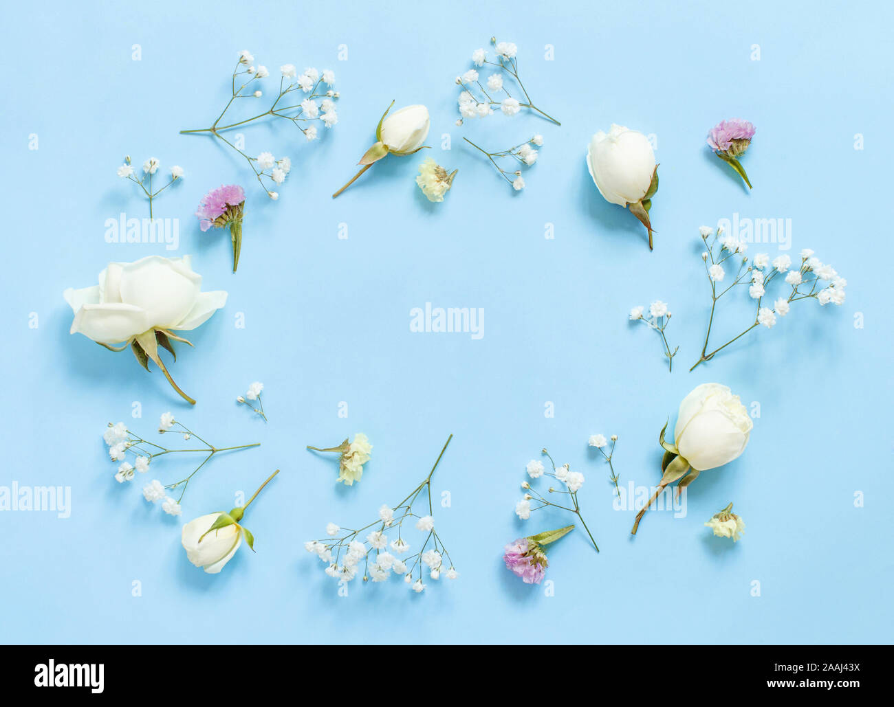 Flowers on a light blue background top view Stock Photo - Alamy
