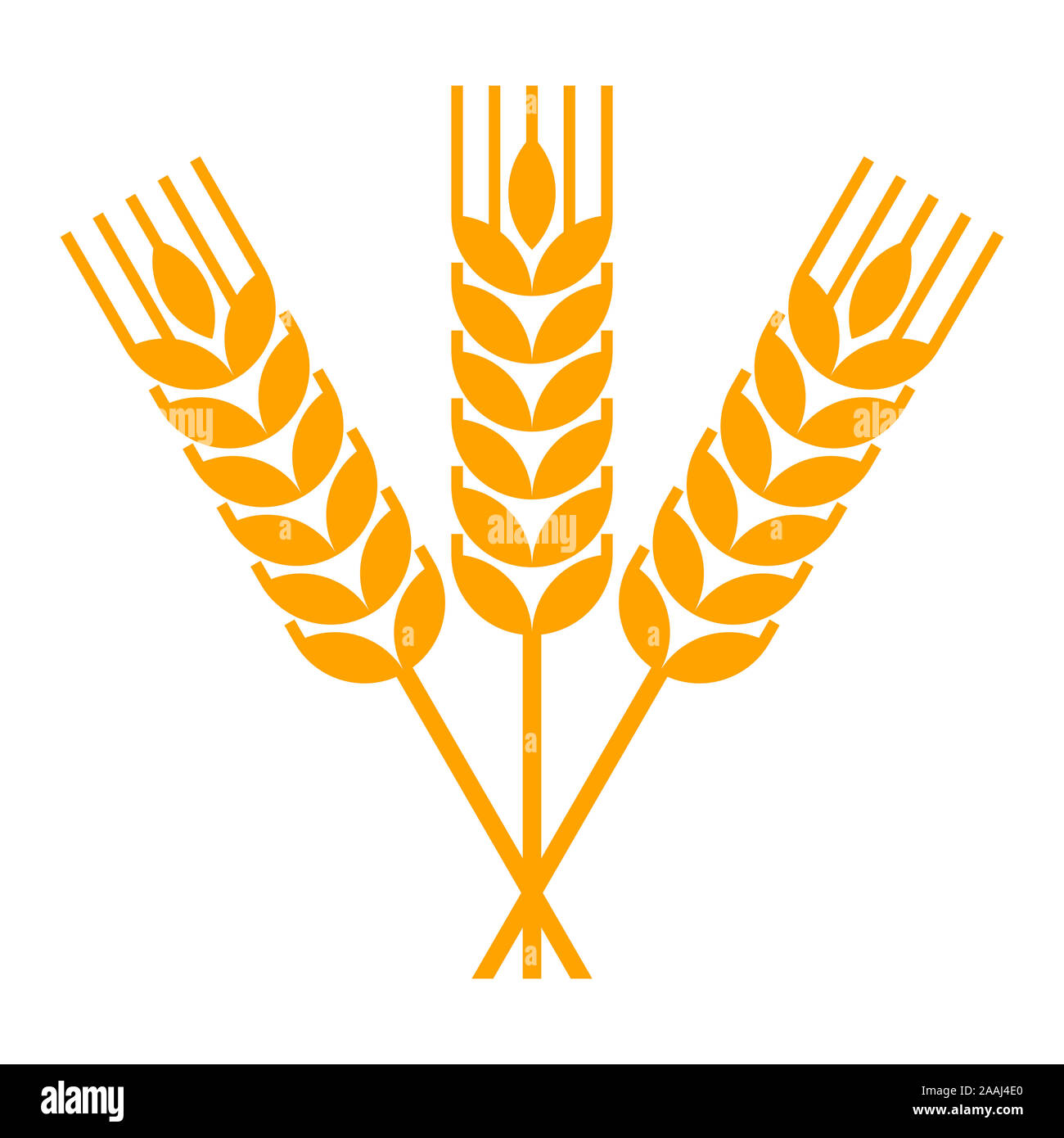 Sheaf of wheat engraving isolated on white background Stock Photo - Alamy