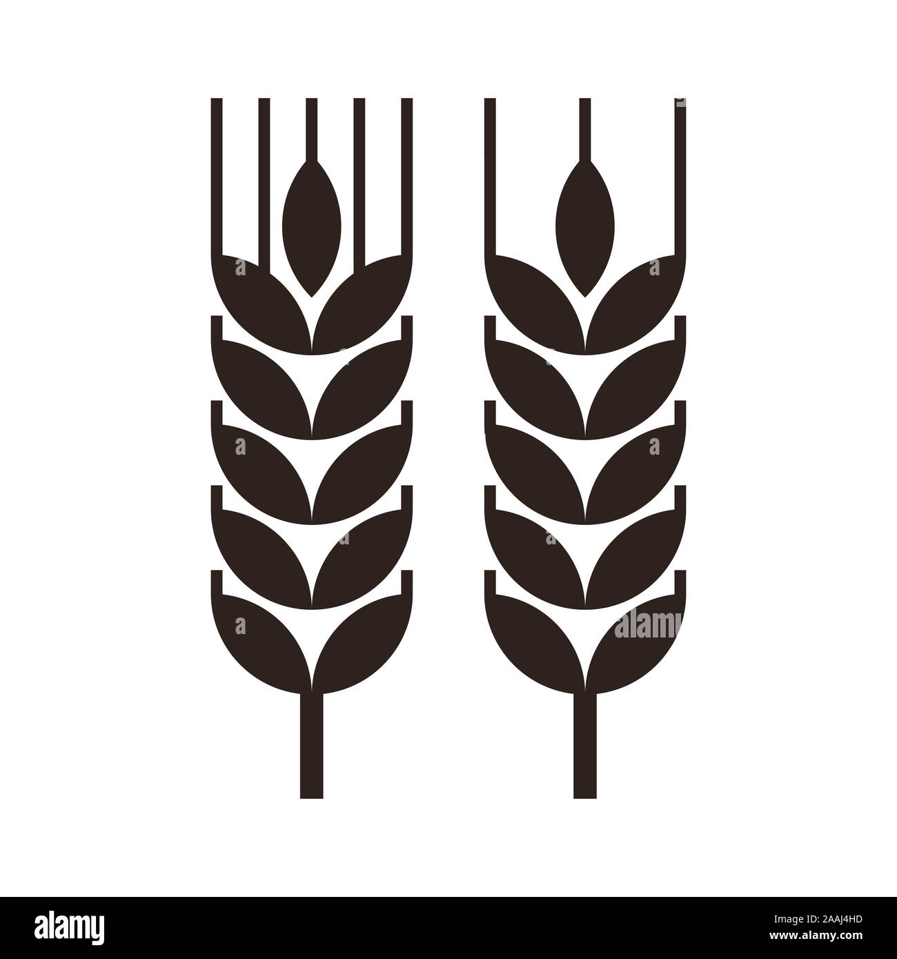 Wheat grain icon isolated on white background Stock Photo - Alamy