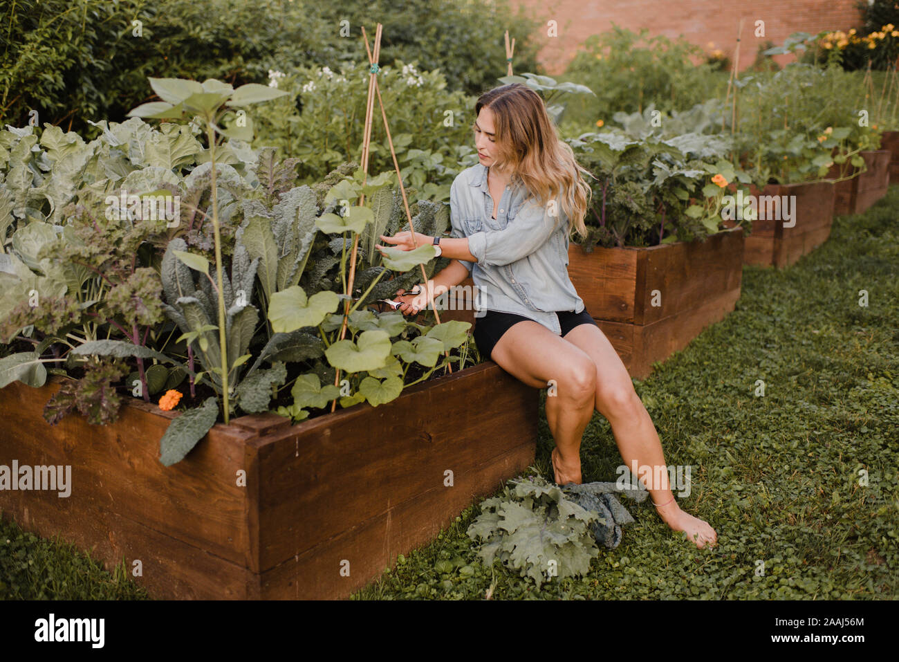Gardening in toronto hi-res stock photography and images - Alamy