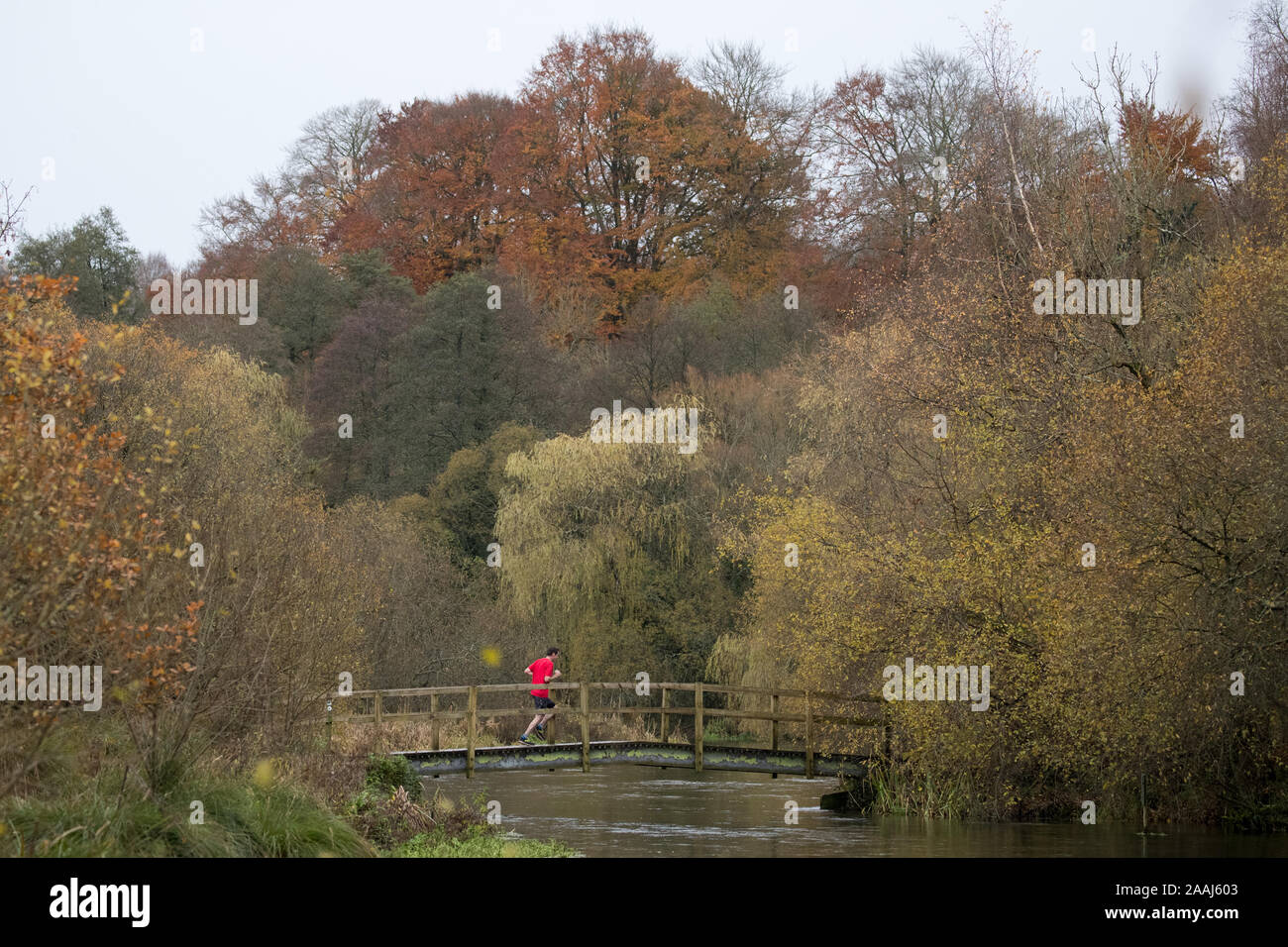 A runner jogs across hi-res stock photography and images - Alamy