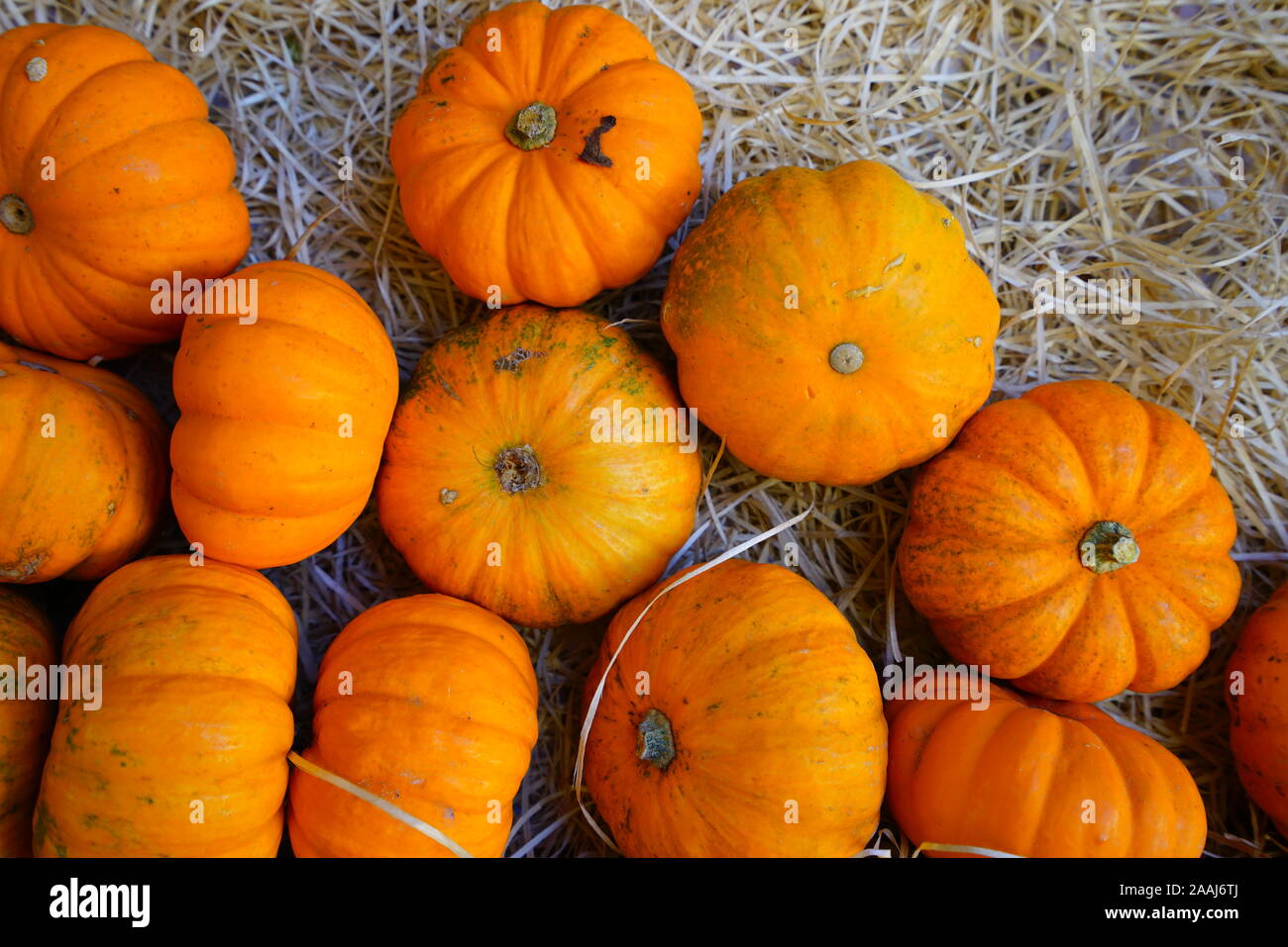 Bulk mini hi-res stock photography and images - Alamy