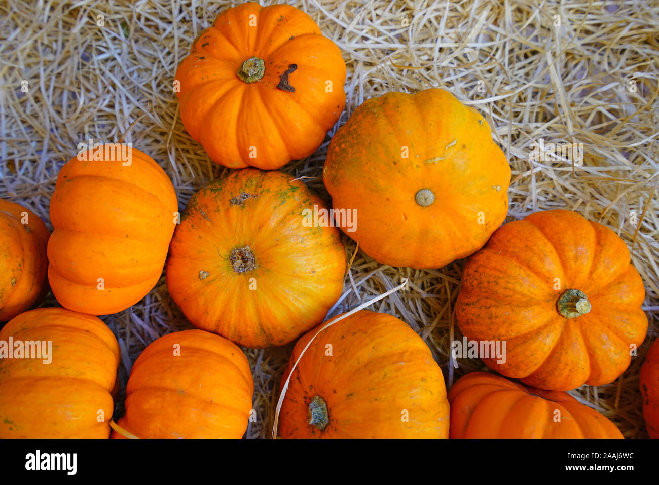 Bulk mini hi-res stock photography and images - Alamy