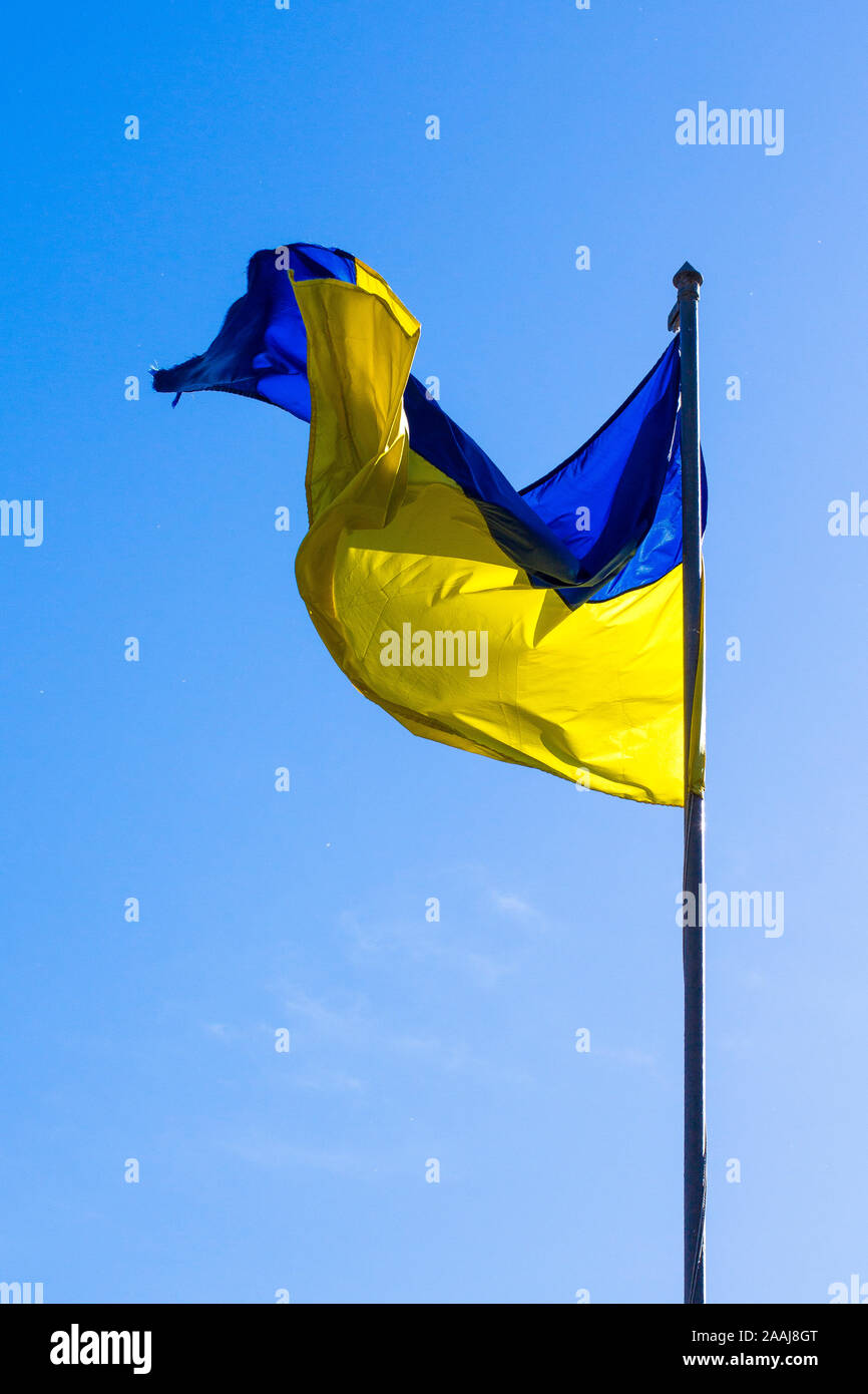 Ukrainian flag rushing in the wind Stock Photo - Alamy