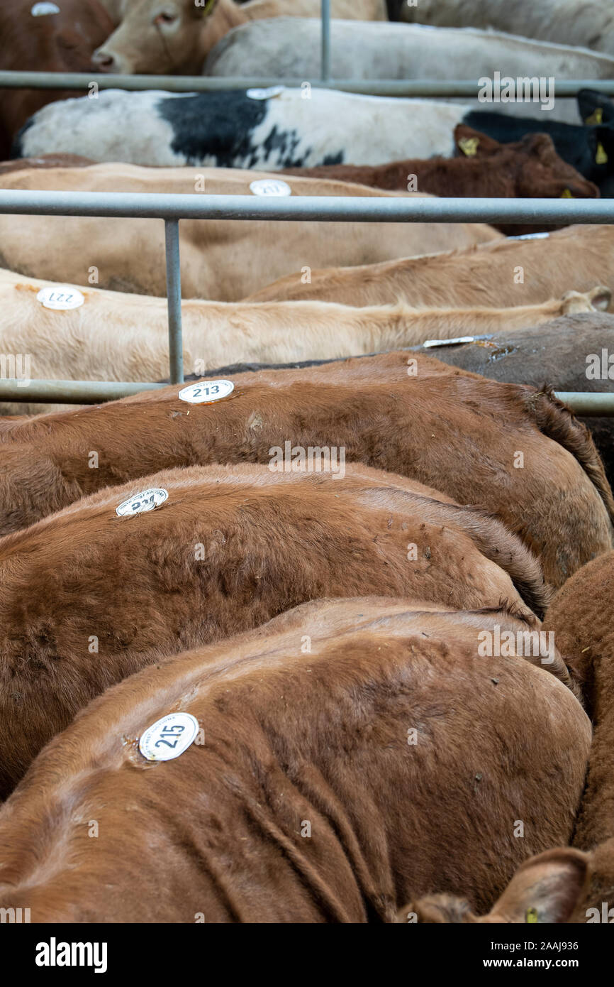 Rural auction centre hi-res stock photography and images - Alamy