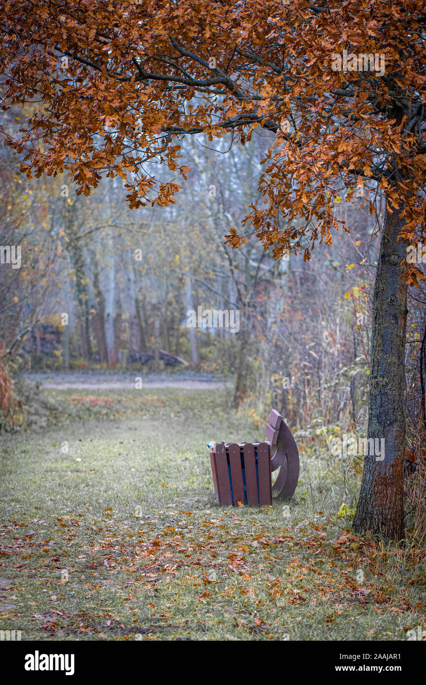 a park bench stands under an oak tree with brown leaves in autumn Stock ...