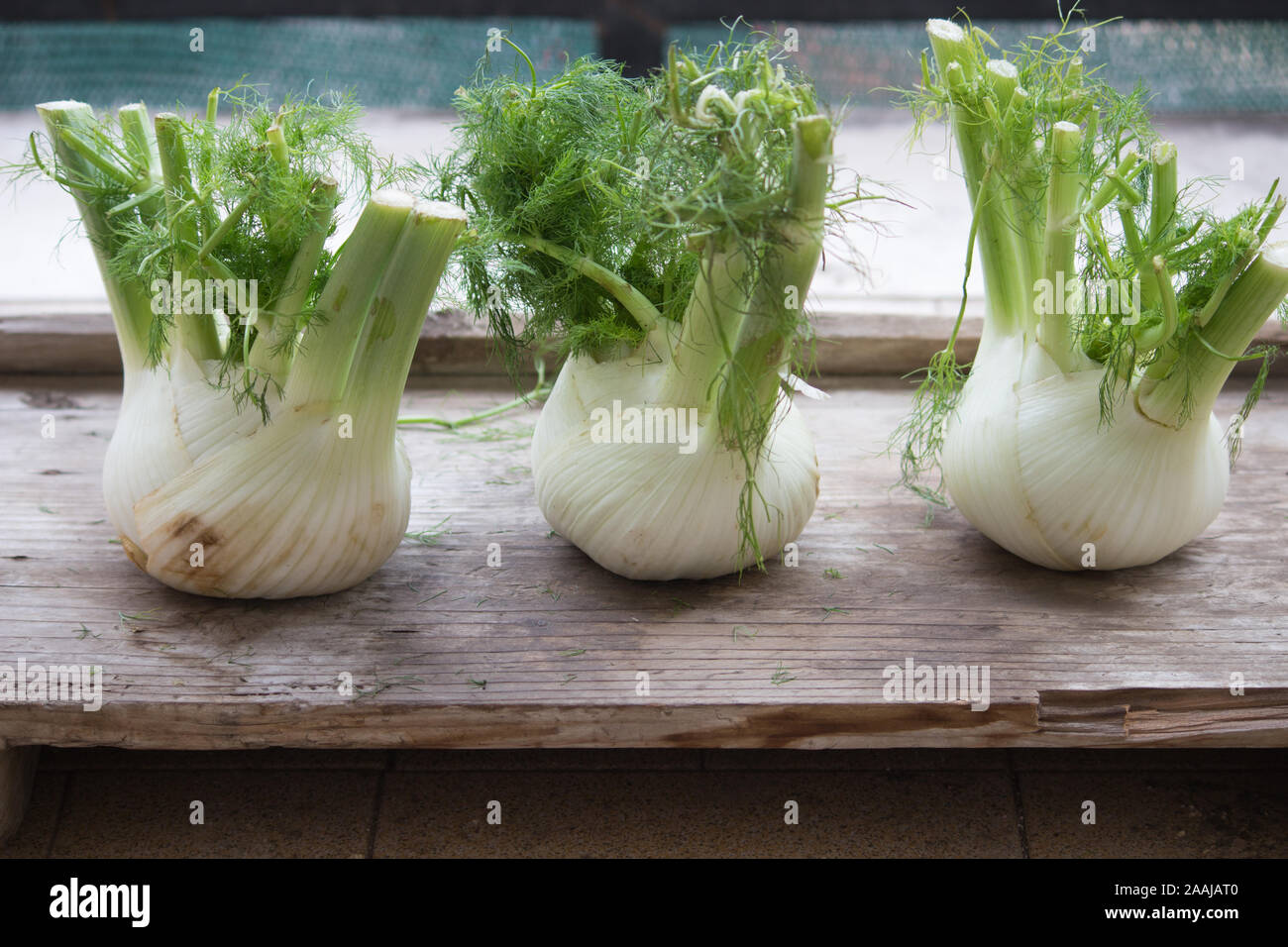 Bulb fennels hi-res stock photography and images - Alamy