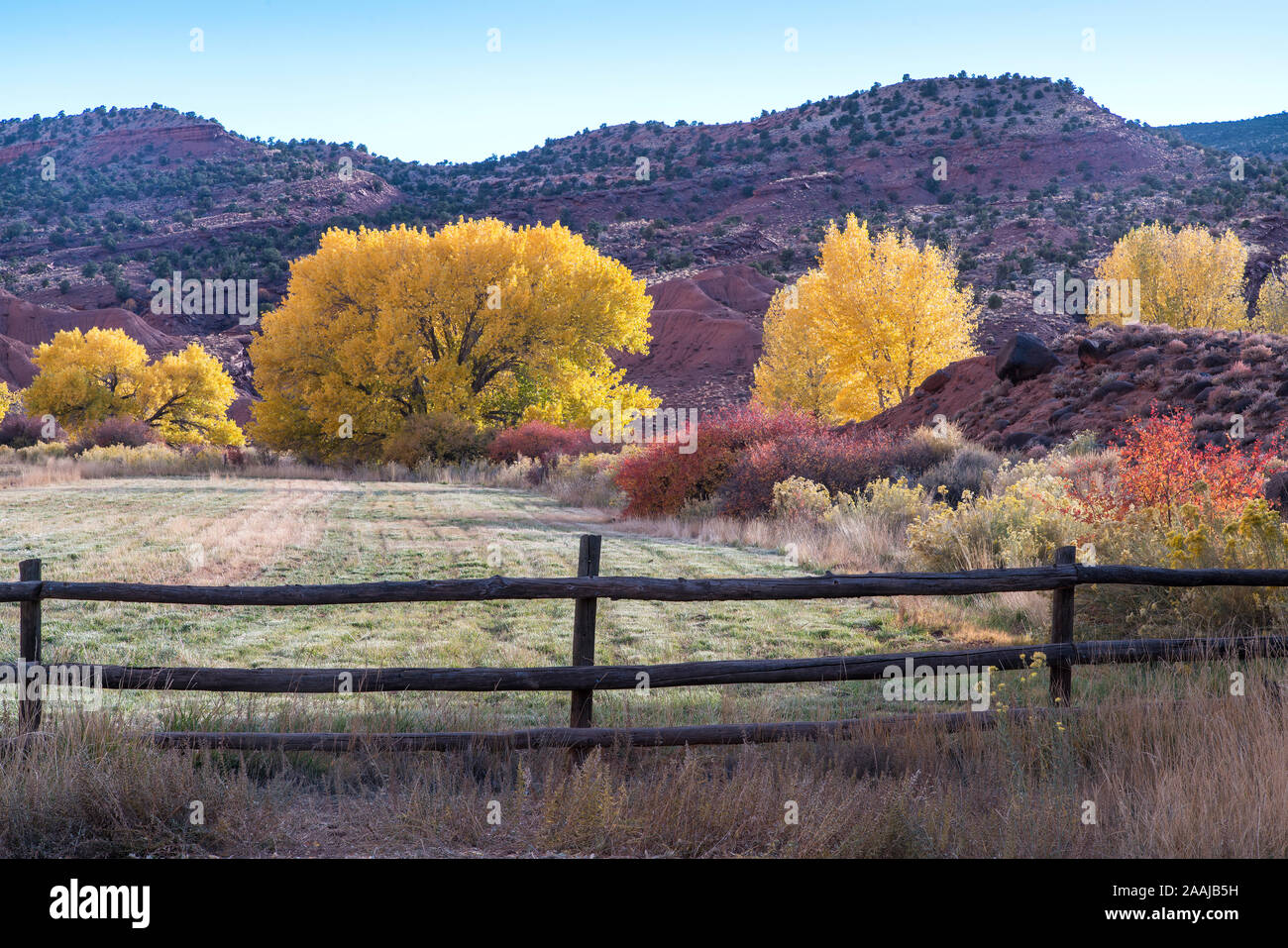 Autumn in Capitol Reef National Park near Torrey, Utah Stock Photo - Alamy