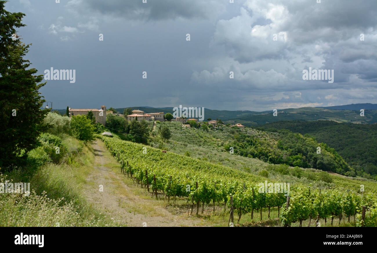 Castagnoli hi-res stock photography and images - Alamy