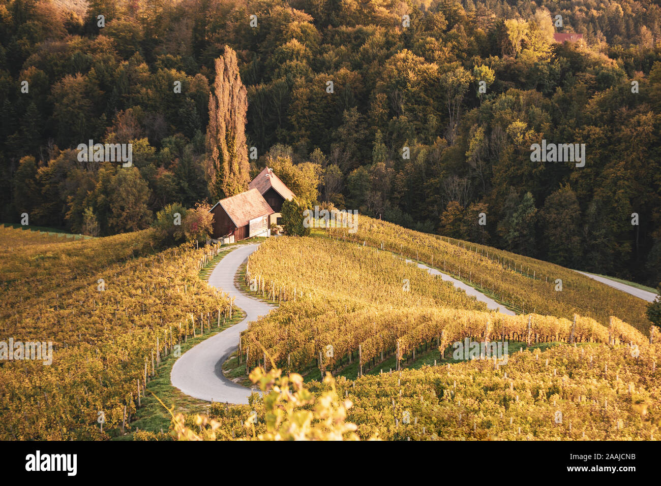 Heart shaped wine road in Slovenia Stock Photo - Alamy