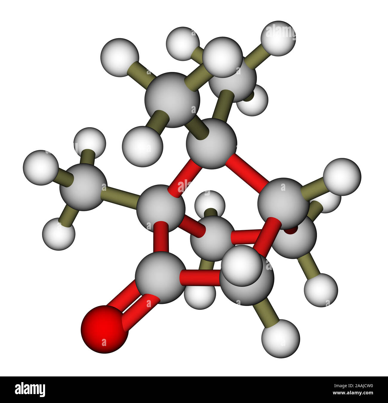 Camphor 3D molecular model Stock Photo - Alamy