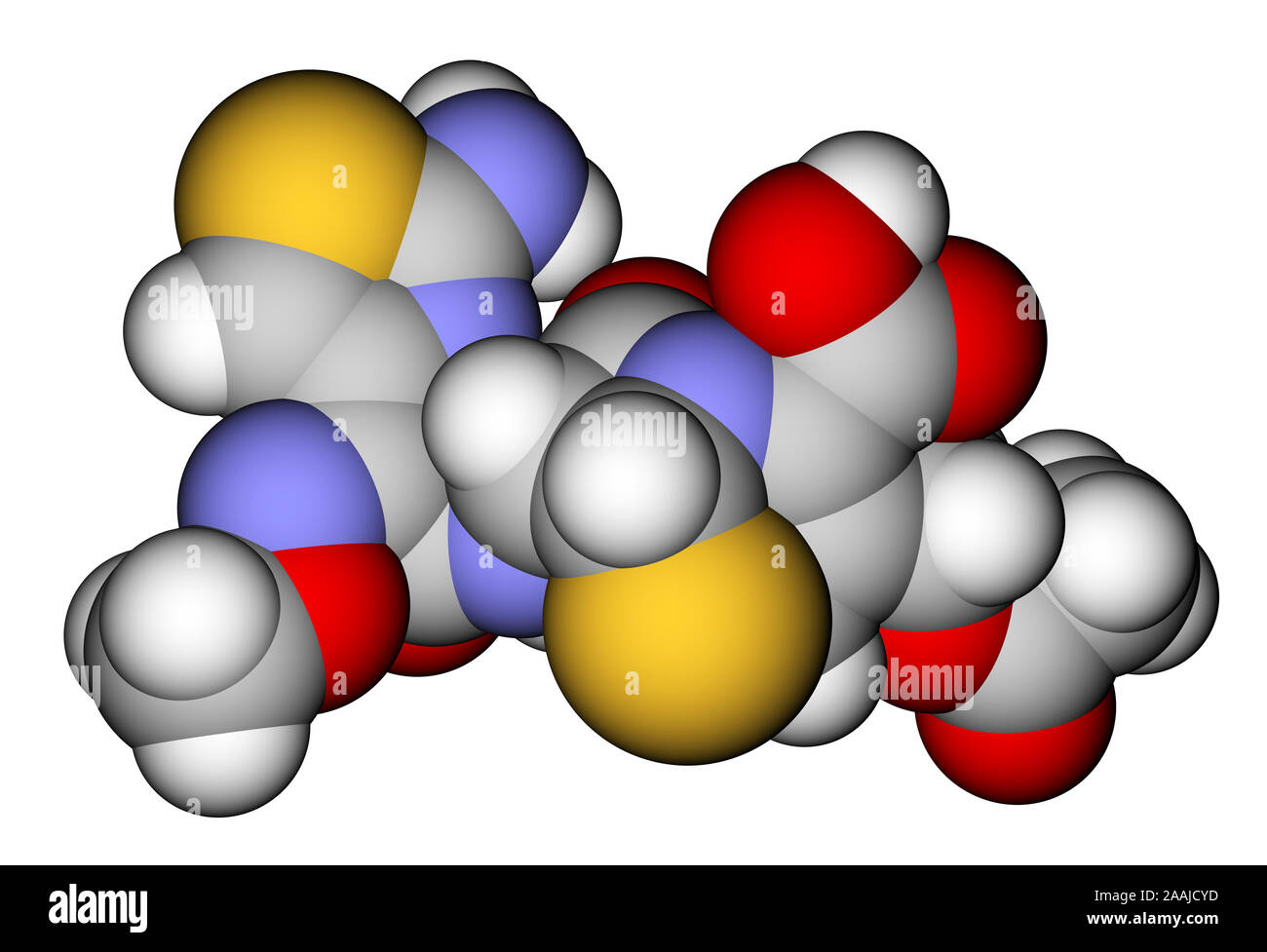 Cefotaxime, a cephalosporin antibiotic. Molecular structure Stock Photo ...