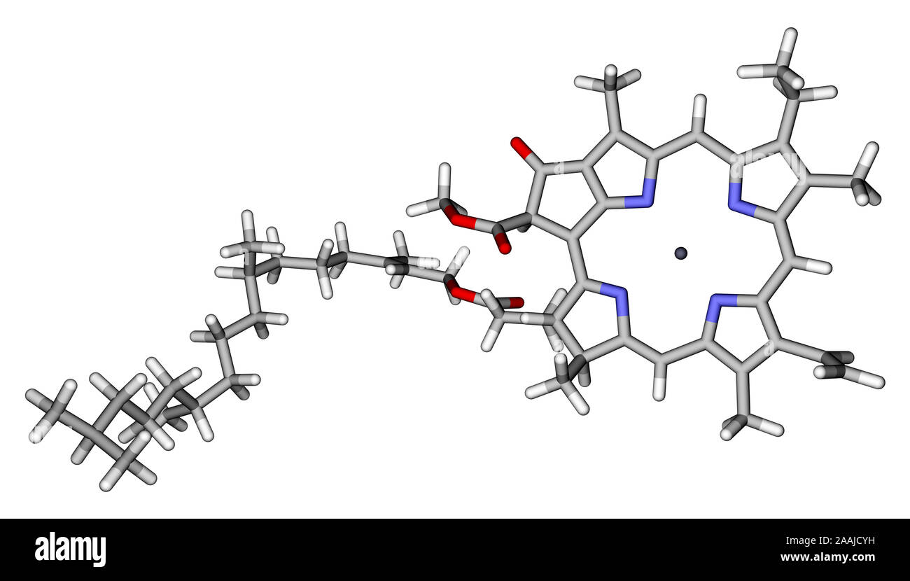 Chlorophyll A sticks molecular model Stock Photo - Alamy