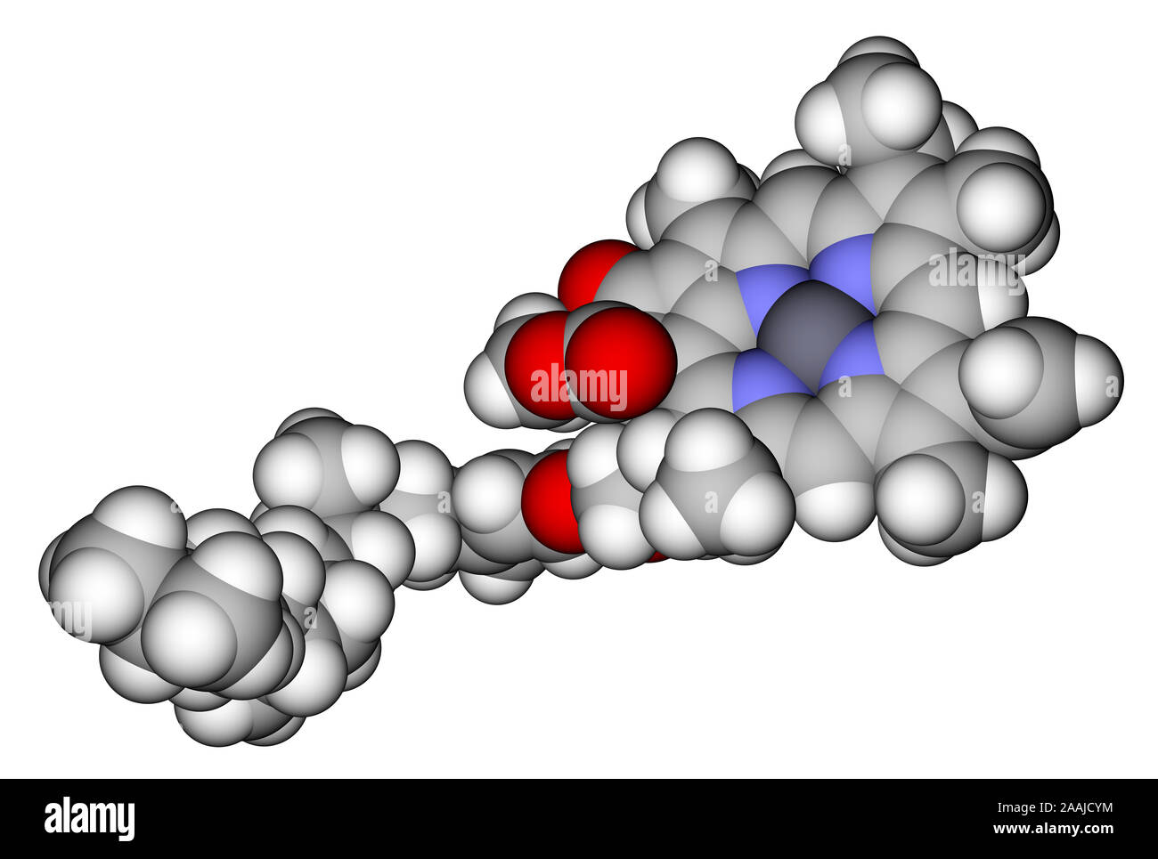 Chlorophyll A space filling molecular model Stock Photo - Alamy