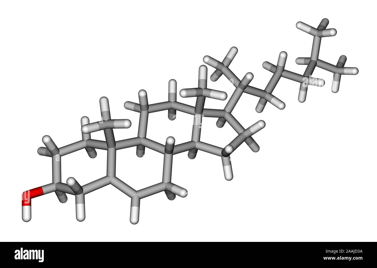 Cholesterol sticks molecular model Stock Photo - Alamy