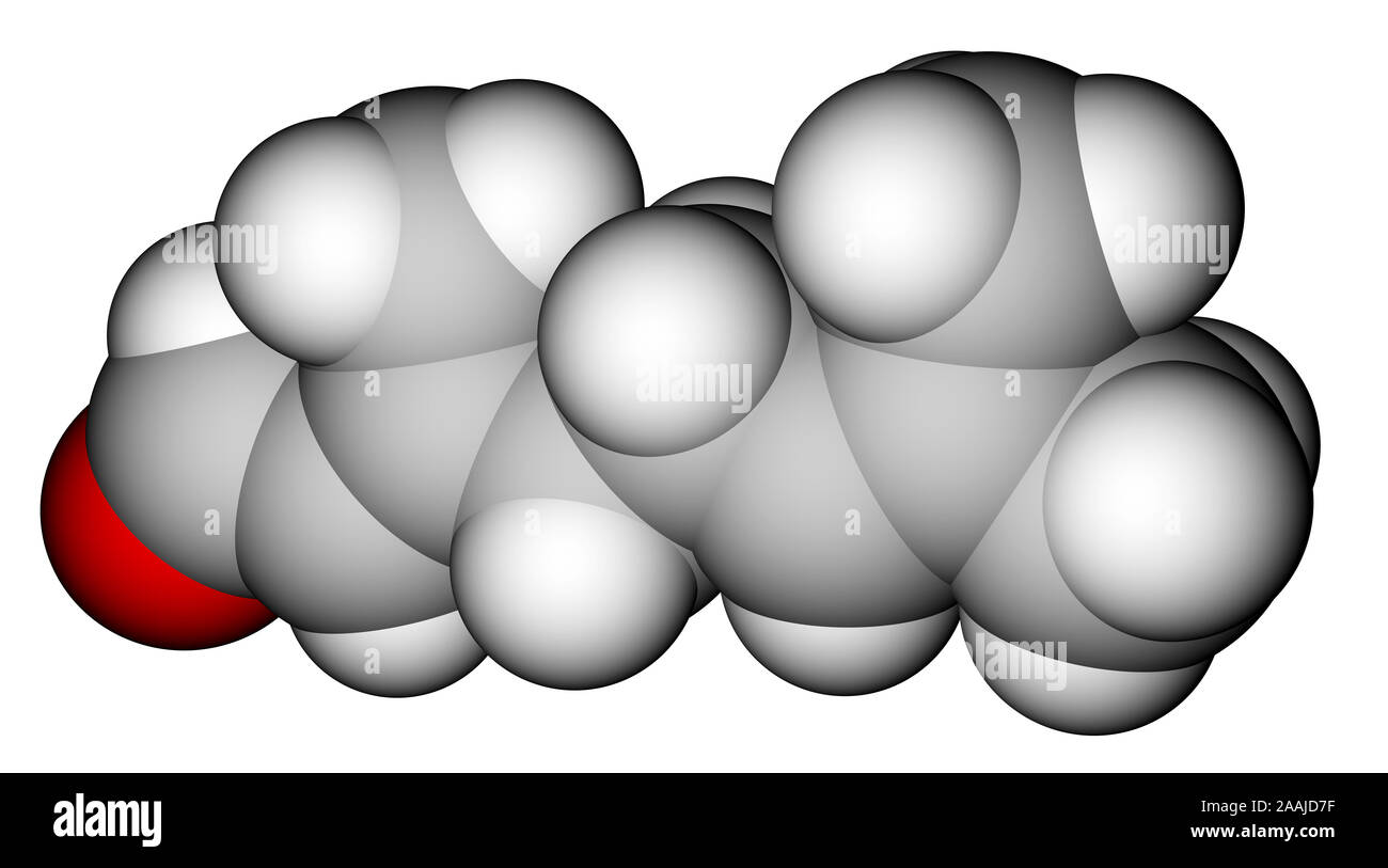Strong scent of citrus hi-res stock photography and images - Alamy