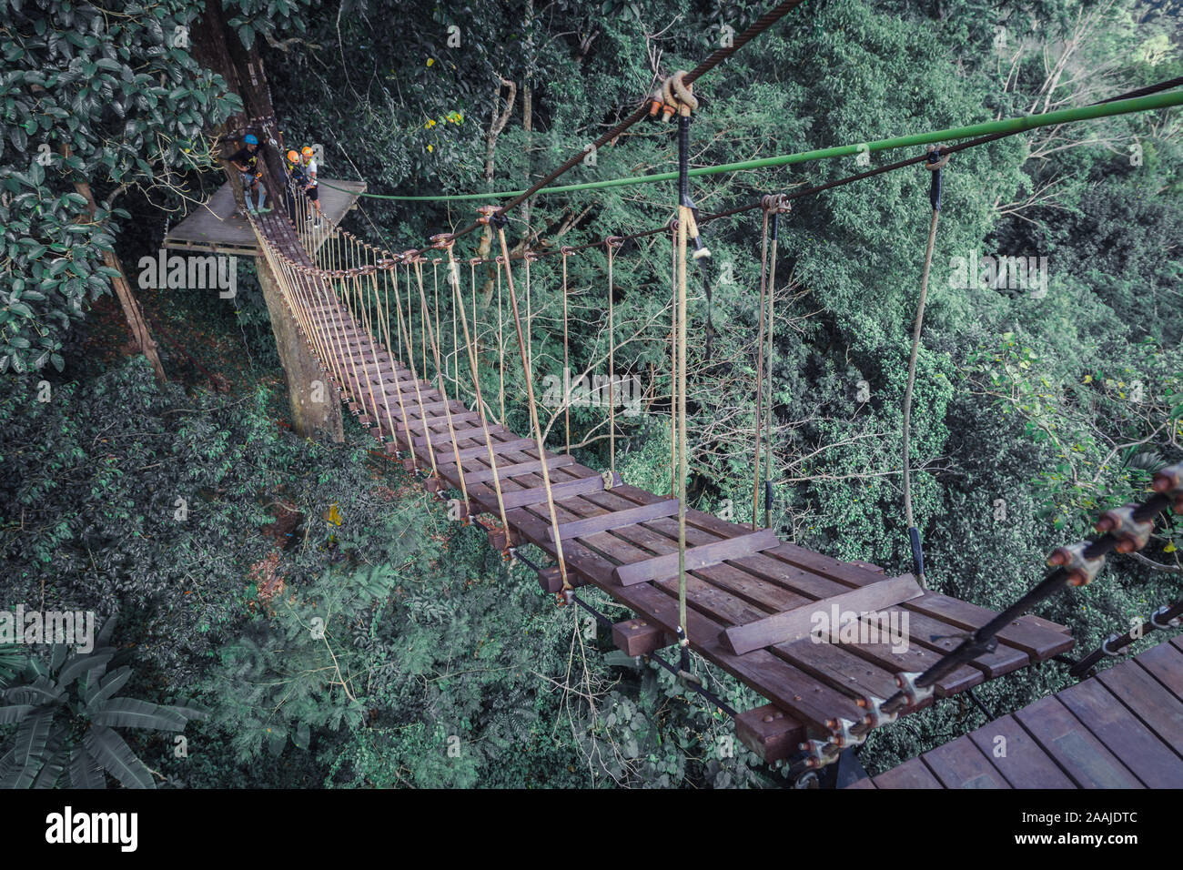 sky bridge walk way on the high big tree point to point Stock Photo - Alamy