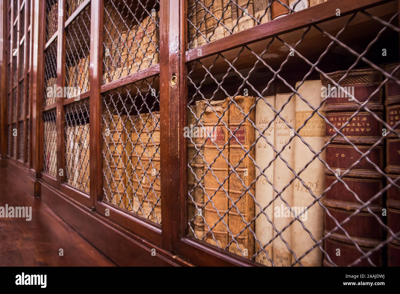Ancient library bologna hi-res stock photography and images - Alamy
