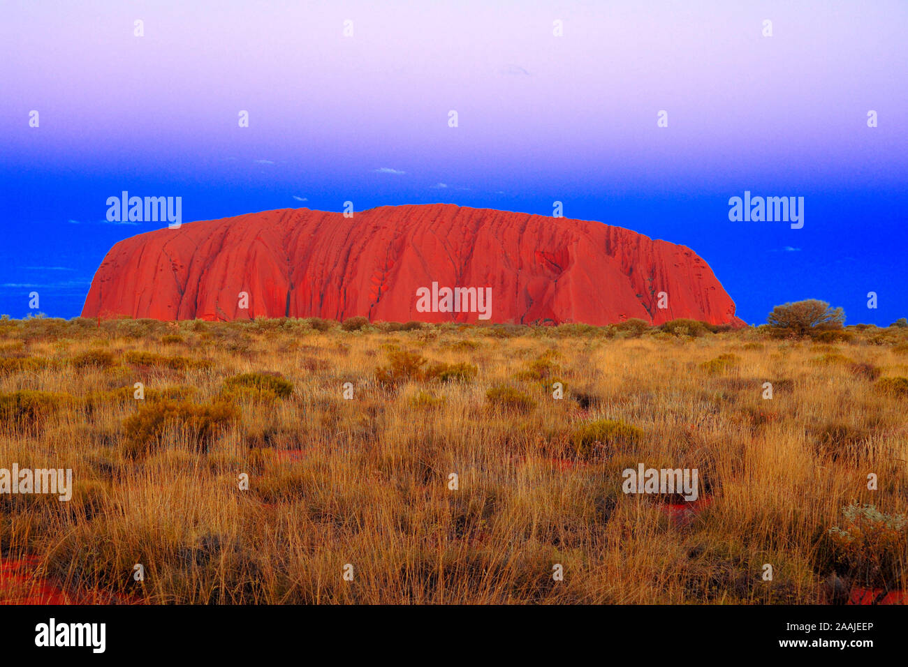 Ayers Rock, Uluru, bei Sonnenaufgang, Northern Territories, Australien ...