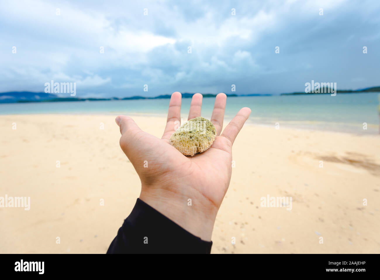 small coral ball on a hand with seaside background and nobody Stock ...