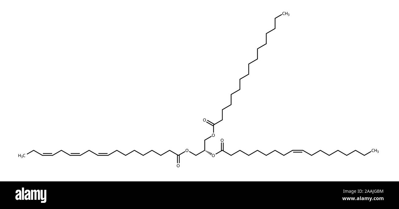 Triglyceride structural formula Stock Photo - Alamy