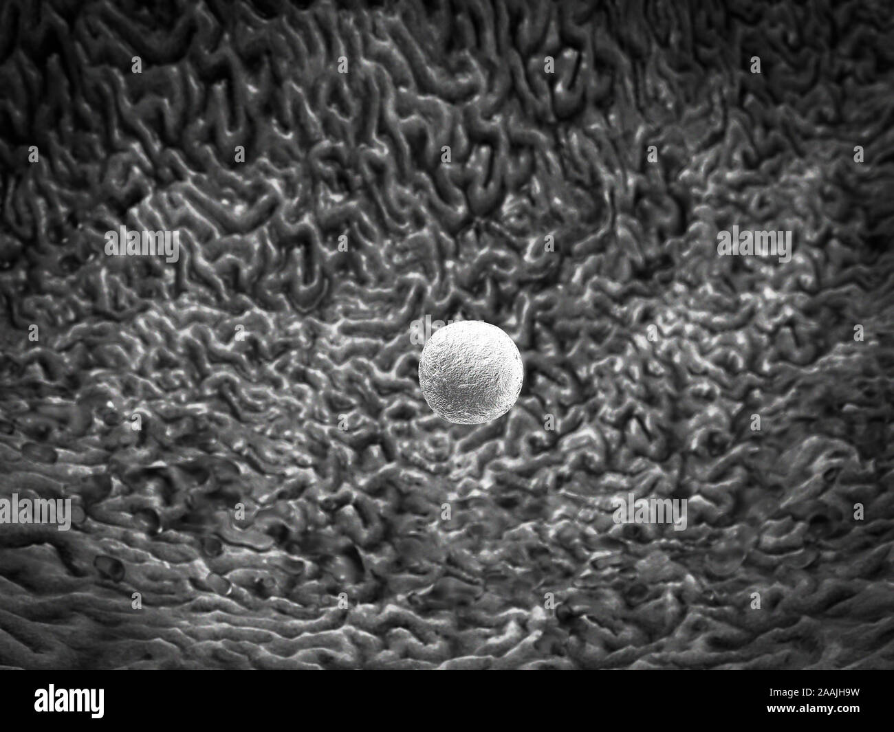 inside the blood vessel, High quality 3d render of blood cells ...