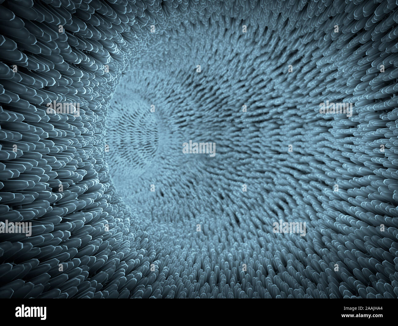 inside the blood vessel, High quality 3d render of blood cells ...