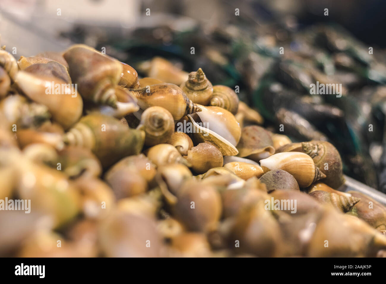 shellfish with something look like tower on top put on tray, with ...