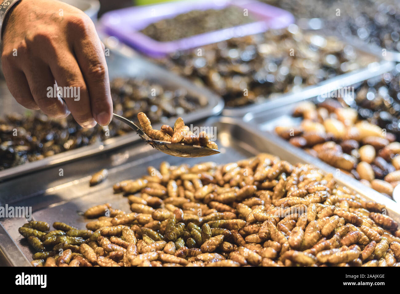 How to eat fried worms hi-res stock photography and images - Alamy