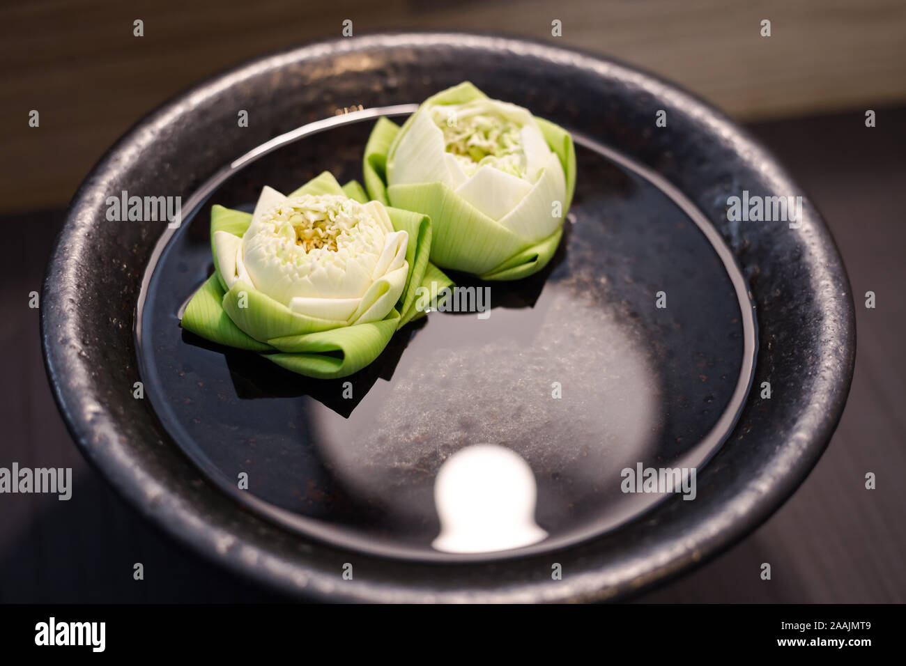 Twin White lotus on green leaves float on the water inside black bowl ...