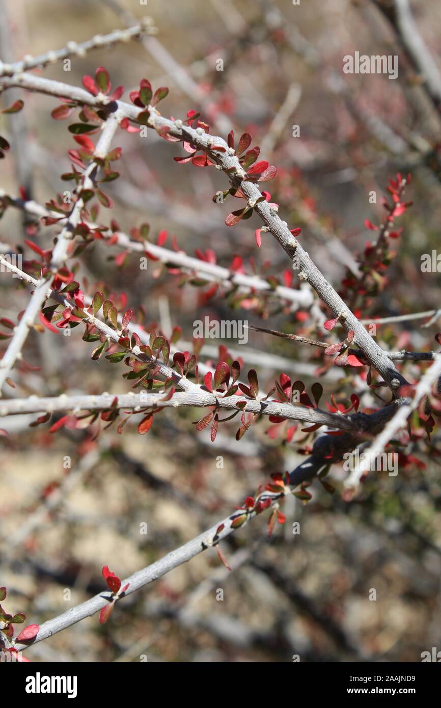 Lost halls hi-res stock photography and images - Alamy