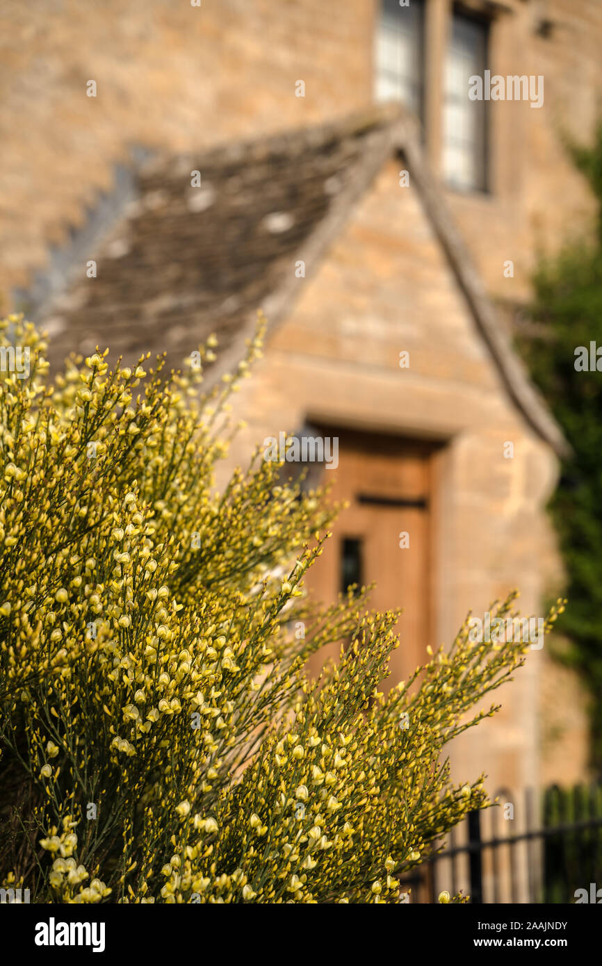 Cute traditional limestone stone houses in rural Britain, England ...