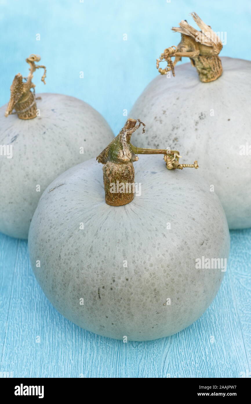 Skin harvesting hi-res stock photography and images - Alamy