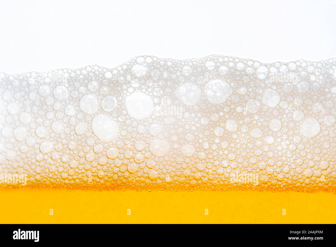 Light Beer with Bubbles and Foam Background on White. Beer Bubbles ...
