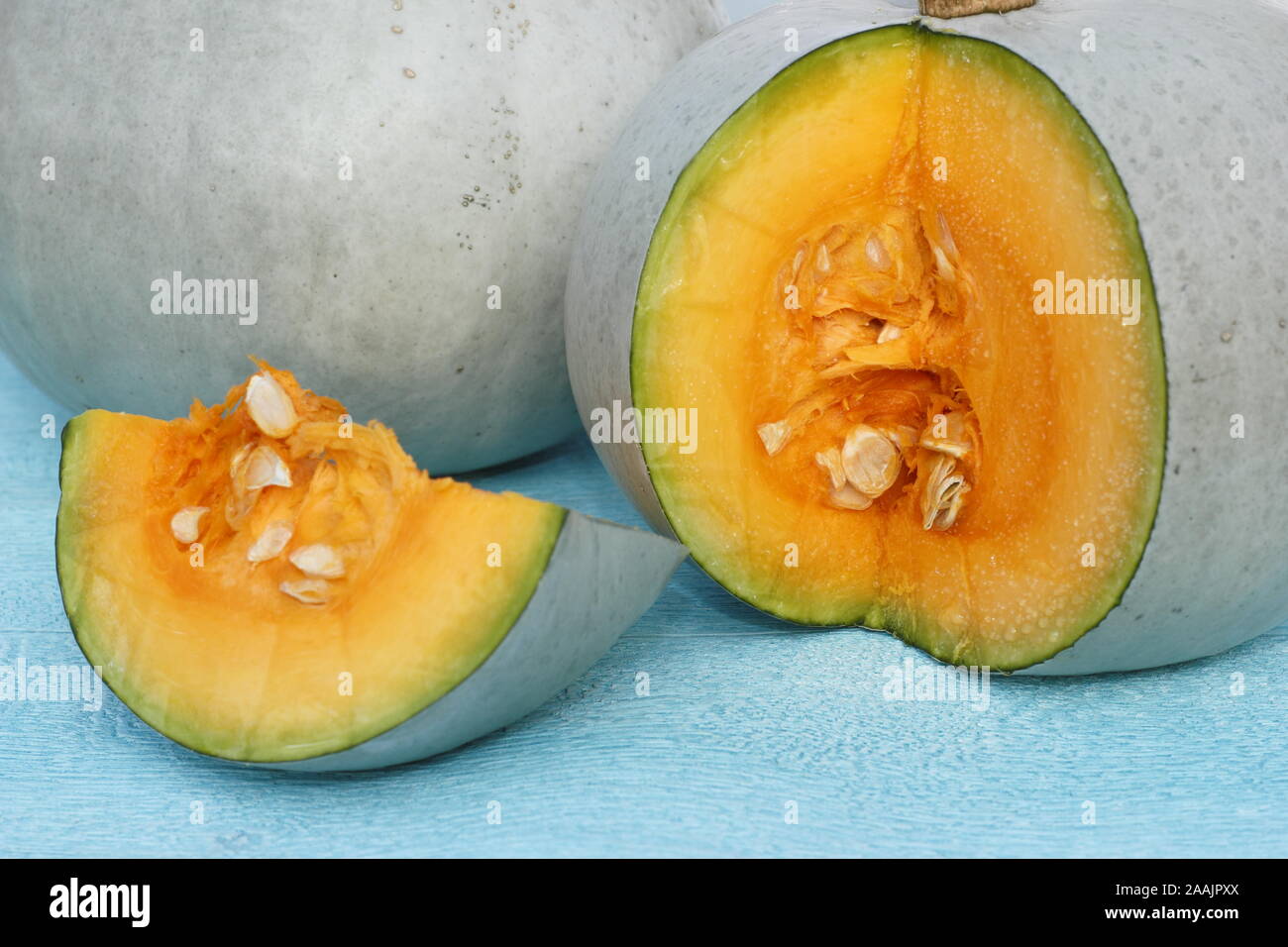 Cucurbita maxima 'Crown Prince'. Freshly harvested, blue skinned Crown ...