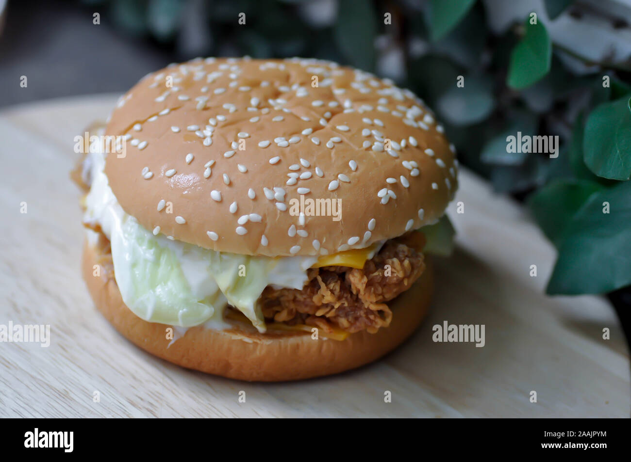 Chicken cheese bugger hi-res stock photography and images - Alamy