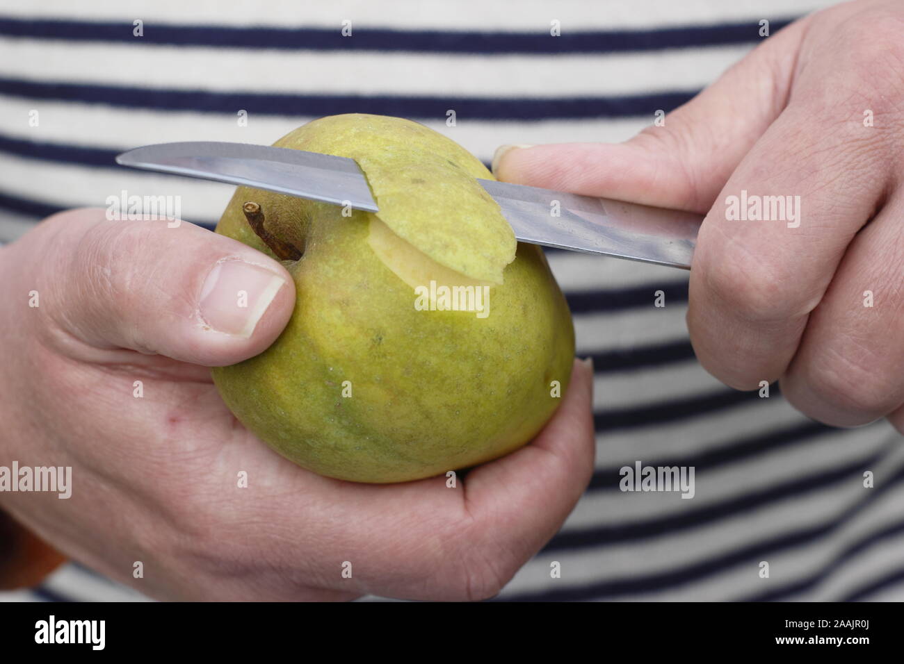 Ribston pippin apples hi-res stock photography and images - Alamy