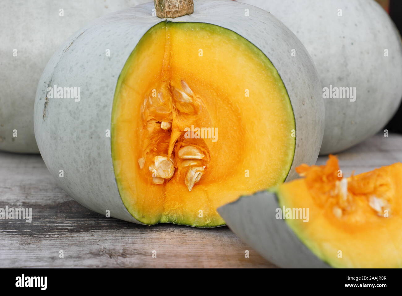 Cucurbita crown prince hi-res stock photography and images - Alamy