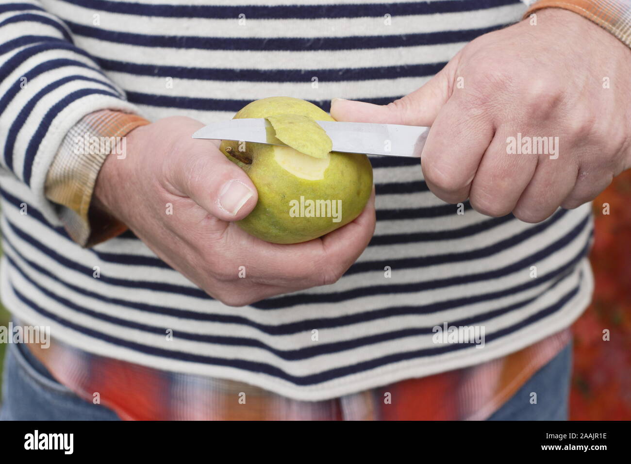 Skin eating hi-res stock photography and images - Alamy