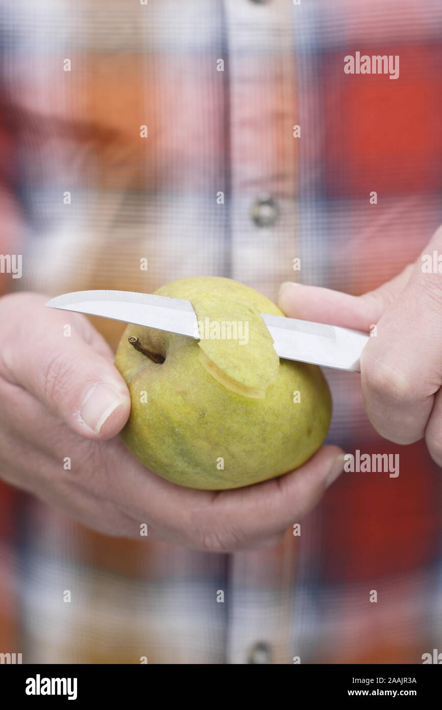 Apple peeling hi-res stock photography and images - Alamy