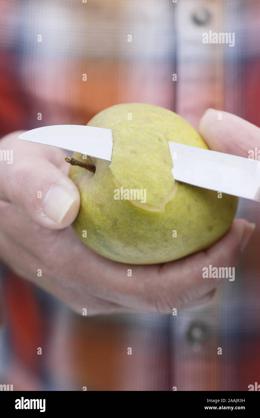 Apple ribston pippin hi-res stock photography and images - Alamy