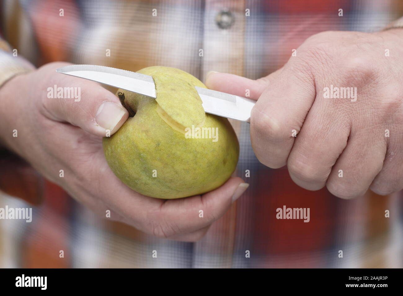 Ribston pippin hi-res stock photography and images - Alamy