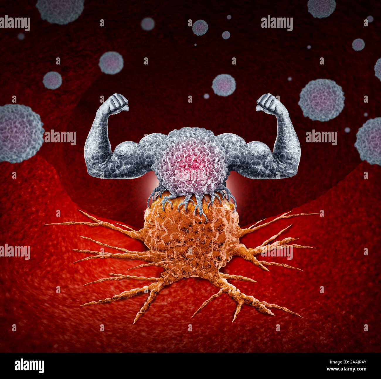 Human Immune System Cells