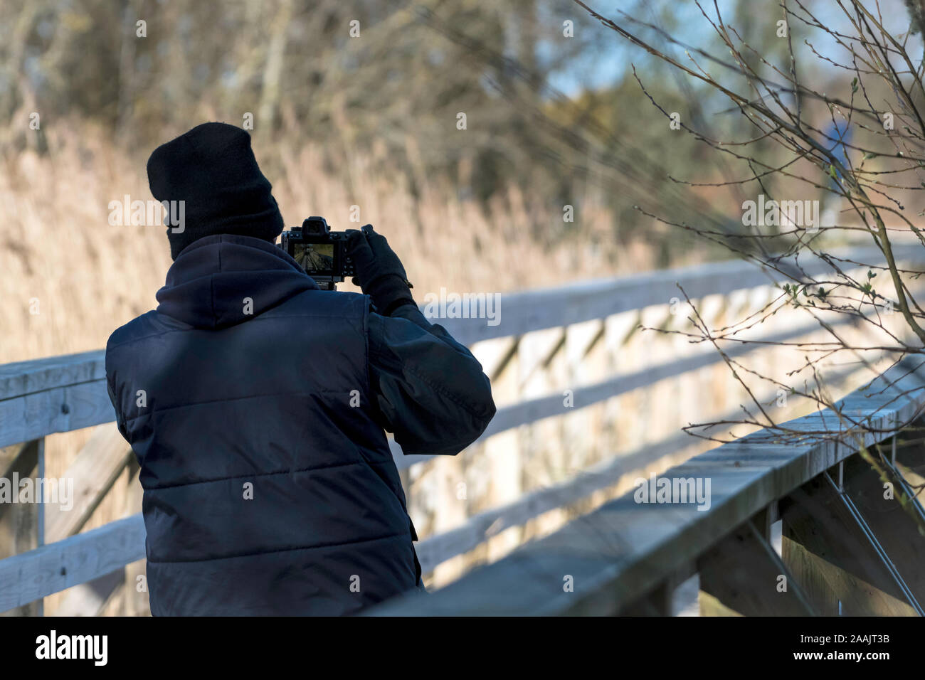 Behind the camera at the nature reserve Stock Photo - Alamy
